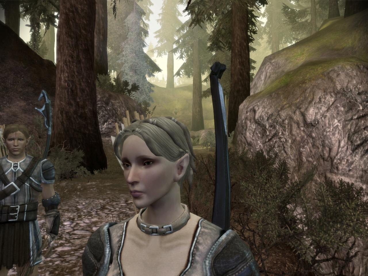 Dragon Age-Special: Alles über die Charaktererstellung - Heute: Der ...