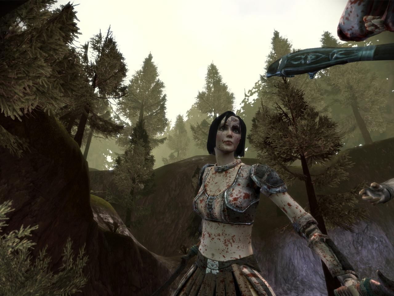 Dragon Age-Special: Alles über die Charaktererstellung - Heute: Der ...