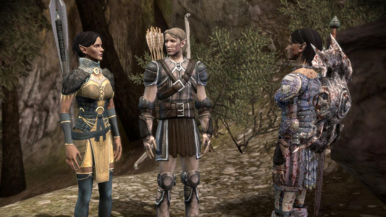 Dragon Age: Die Welt von Thedas #2 - Die Elfen