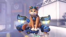 "Hört auf, Jetpack Cat zu bannen" - Blizzard fleht Overwatch-Spieler an ...